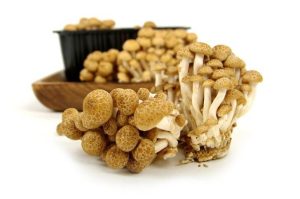 15 Common Long Mushrooms (with Pictures) | Try Green Recipes