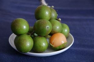 Quenepa (Mamones): Season, Where to Buy and Eating | Try Green Recipes